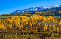 Endodontics Patient Registration Highlands Ranch CO